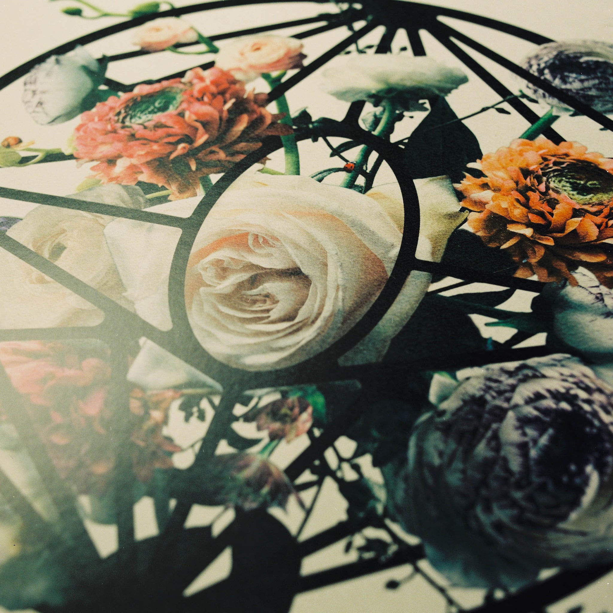 Turn The Light On - Marbled Black Vinyl – Imminence